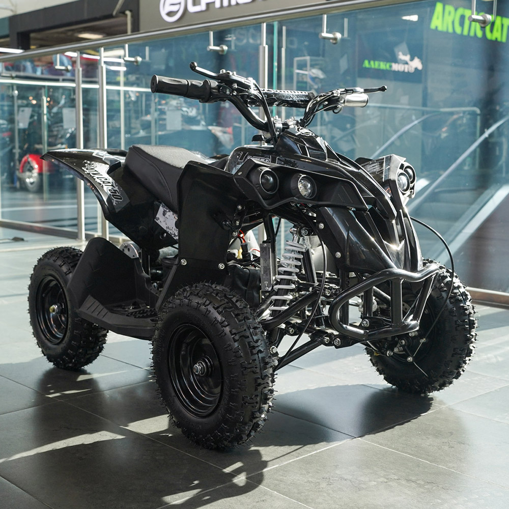 ATV Cat 1000W — купить выгодно в Москве | Магазин EcoMoto ТЦ Декстер